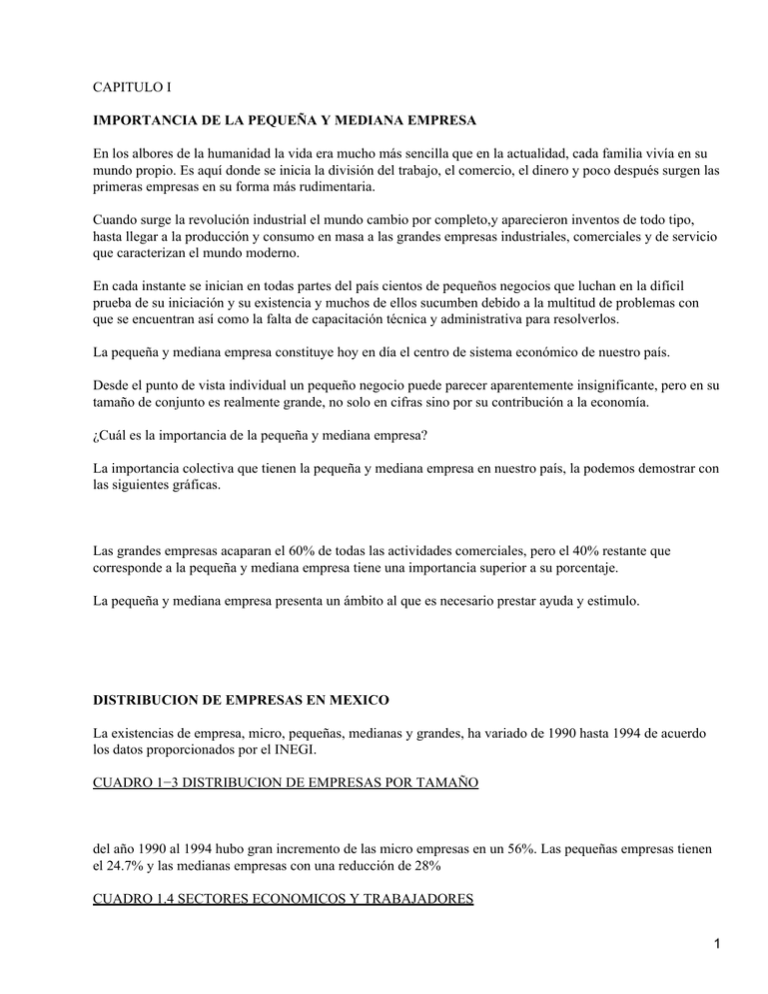 Pequeña y Mediana empresa en México