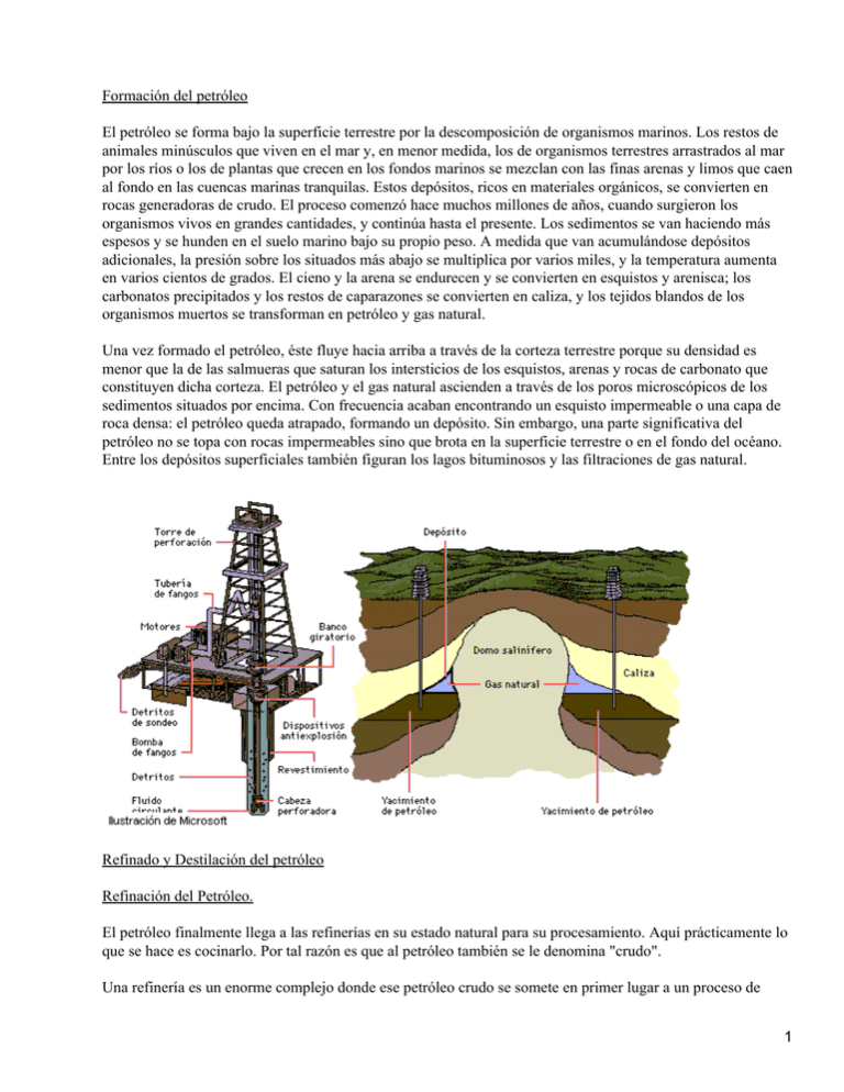 Formación del petróleo