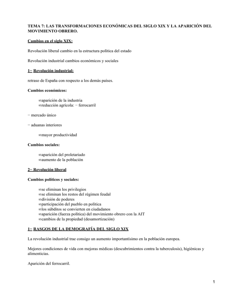 Tranformaciones económicas en el siglo XIX