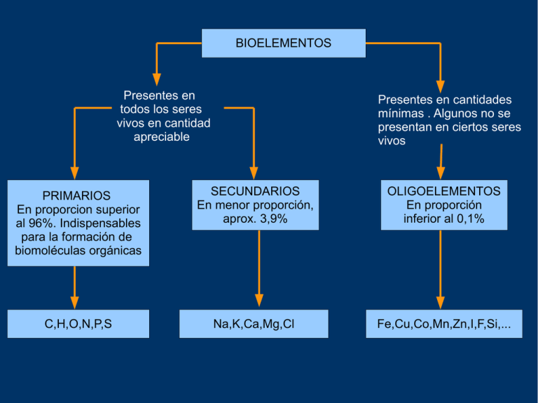 BIOELEMENTOS Presentes en Presentes en cantidades todos los seres