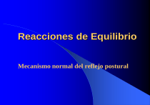Reacciones de Equilibrio: Mecanismo Postural y Desarrollo