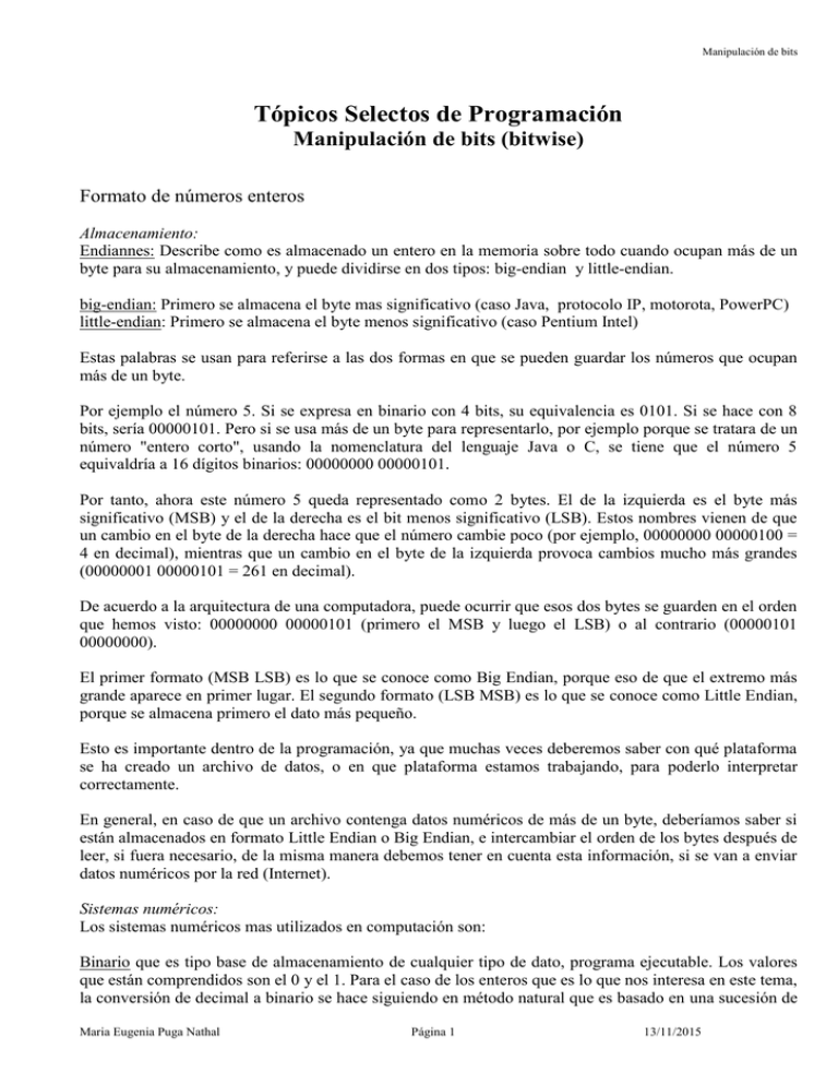 Manipulacion de bits, una introduccion