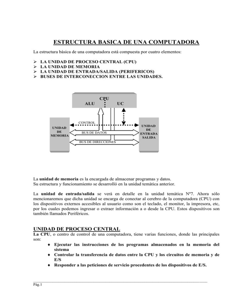ESTRUCTURA BASICA DE UNA COMPUTADORA