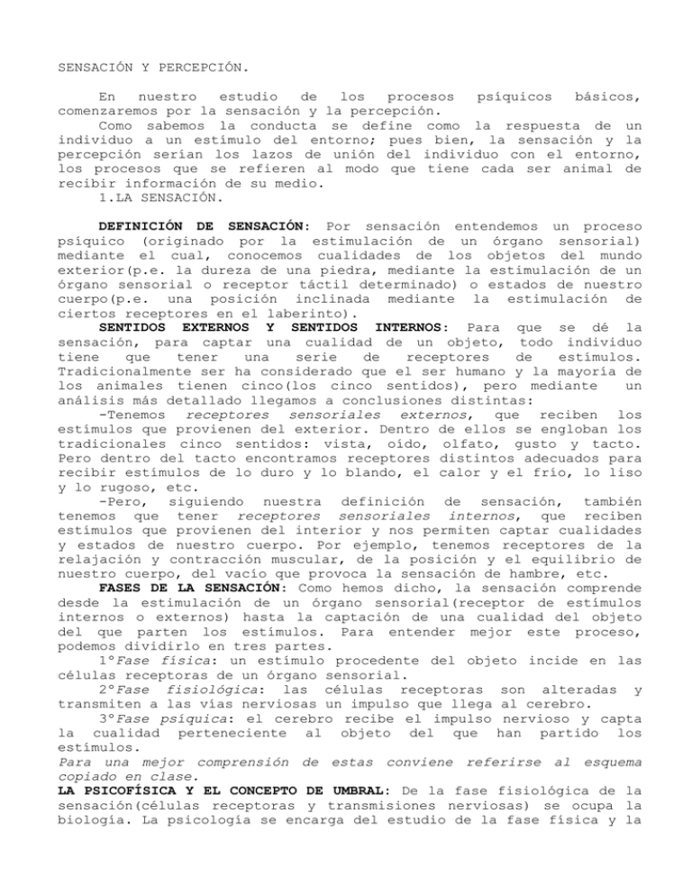 SENSACIÓN Y PERCEPCIÓN. En nuestro