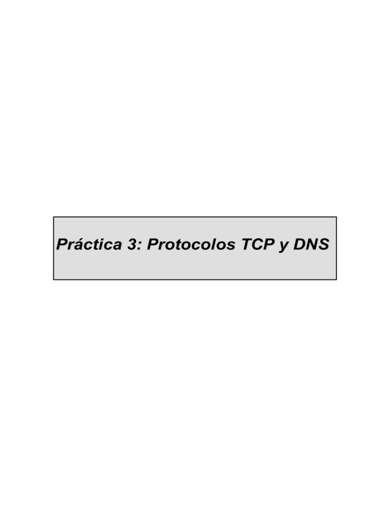 Memoria Práctica 3 - Protocolos TCP-DNS