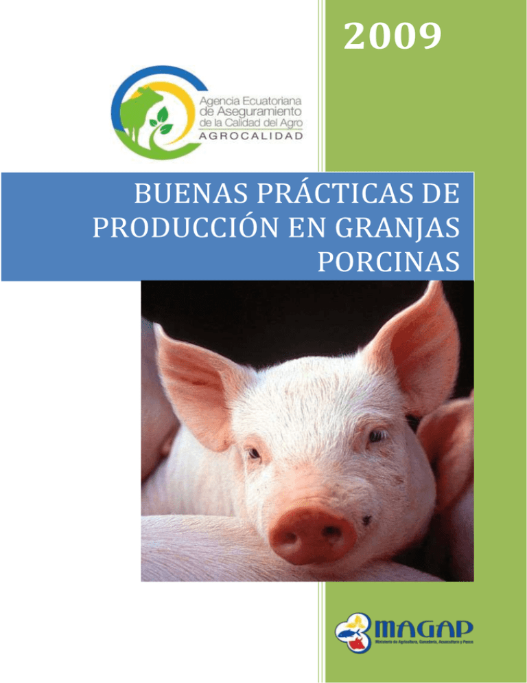 buenas prácticas de producción en granjas porcinas