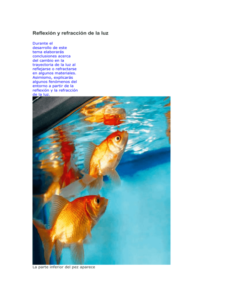 Reflexión y refracción de la luz