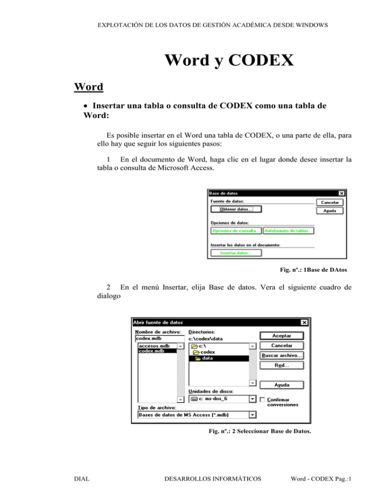 Word y CODEX Word