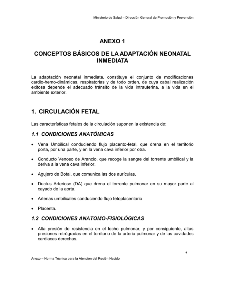 Anexo 1 Conceptos Básicos de la Adaptación Neonatal Imediata