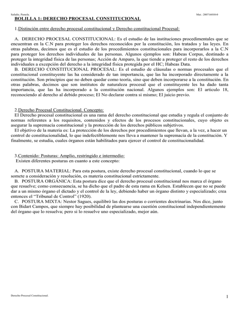 resumen - La Revuelta Bisagra