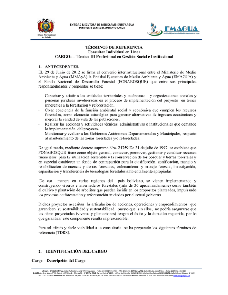 TÉRMINOS DE REFERENCIA Consultor Individual en Línea