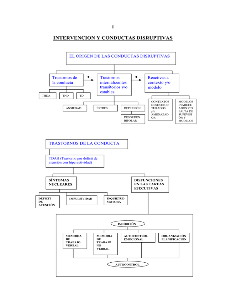 Intervencion y conductas disruptivas