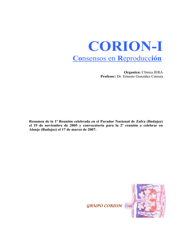 GRUPO CORION