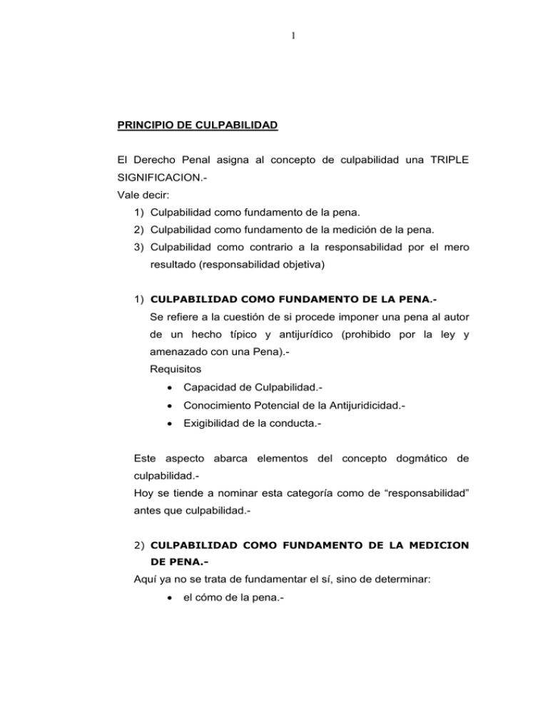 PRINCIPIO DE CULPABILIDAD