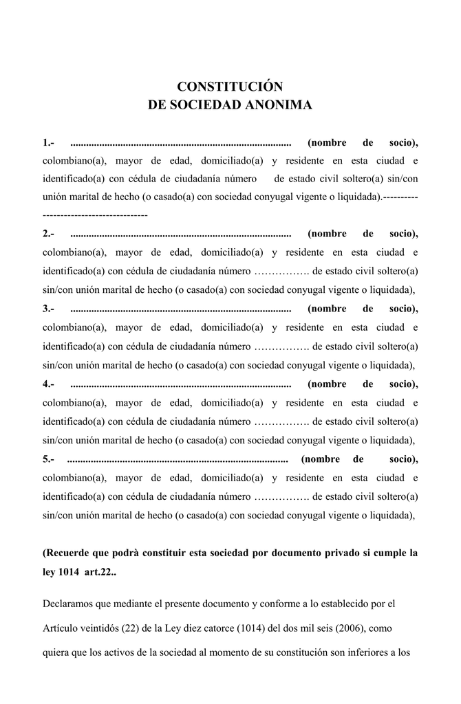 CONSTITUCIÓN DE SOCIEDAD ANONIMA