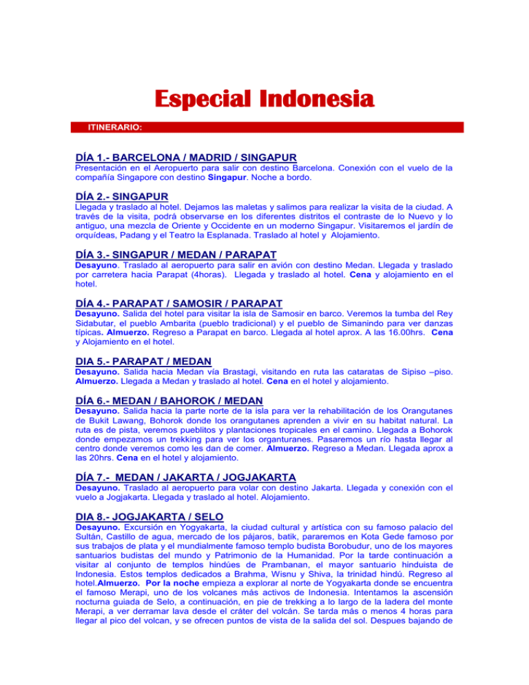 Programa Grupo Cam