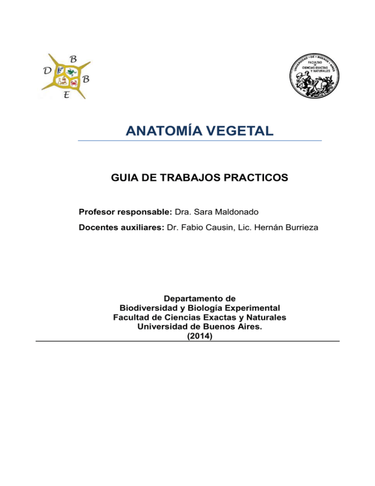 ANATOMÍA VEGETAL GUIA DE TRABAJOS PRACTICOS