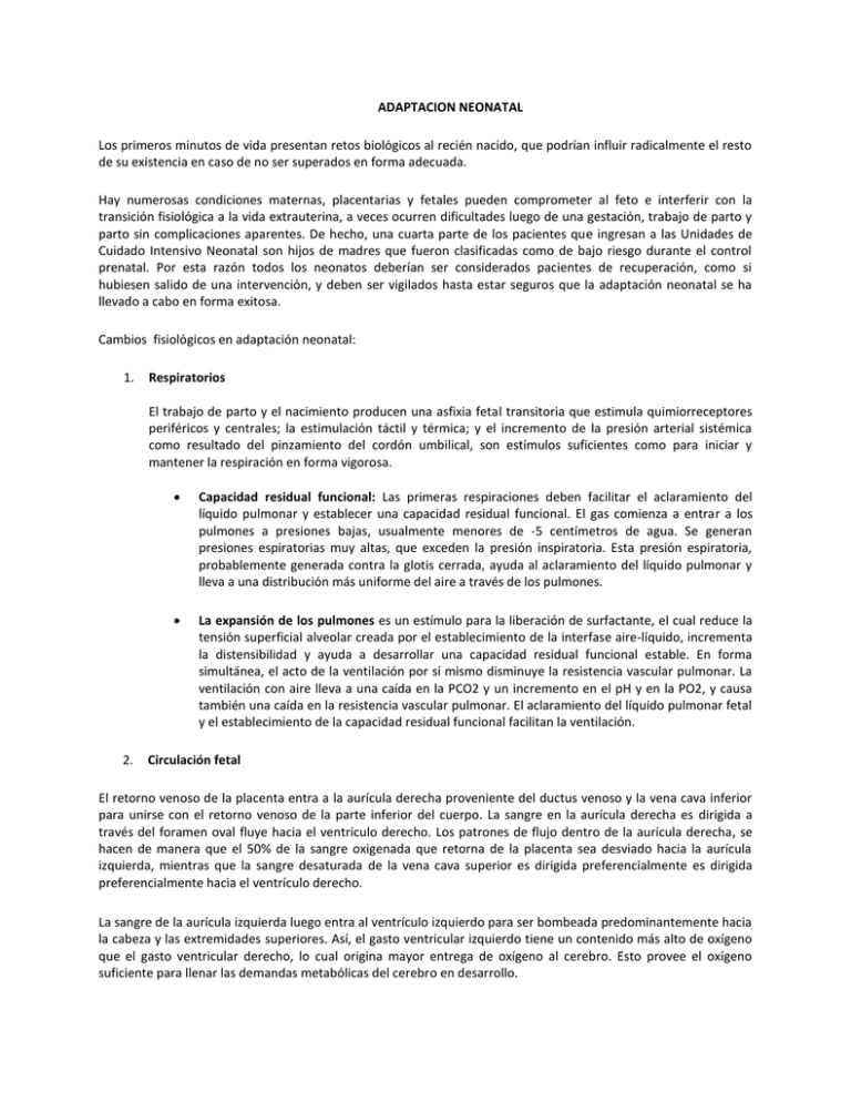 Adaptación Neonatal