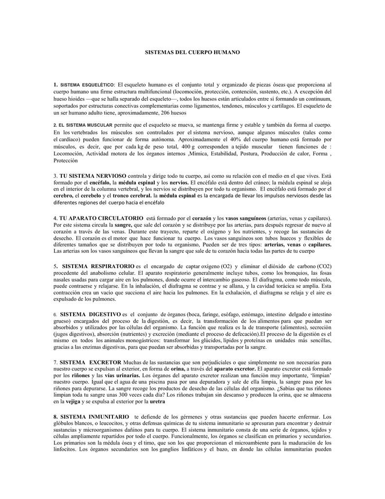 SISTEMAS DEL CUERPO HUMANO 1 SISTEMA ESQUEL TICO SISTEMAS DEL CUERPO HUMANO 1 SISTEMA ESQUEL TICO