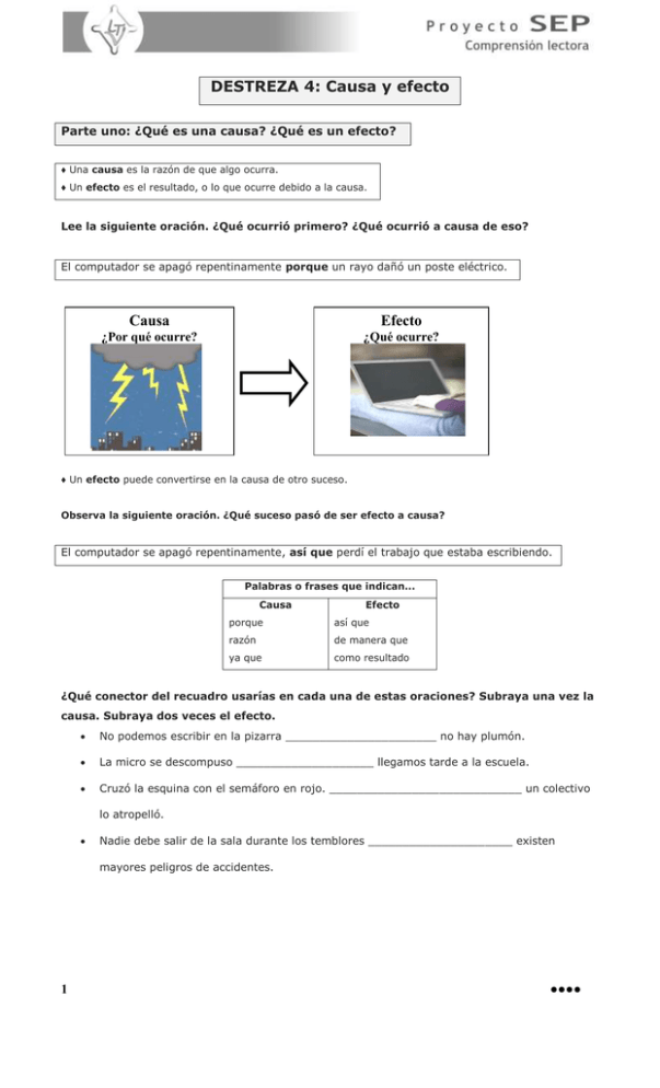 DESTREZA 4: Causa y efecto Causa Efecto