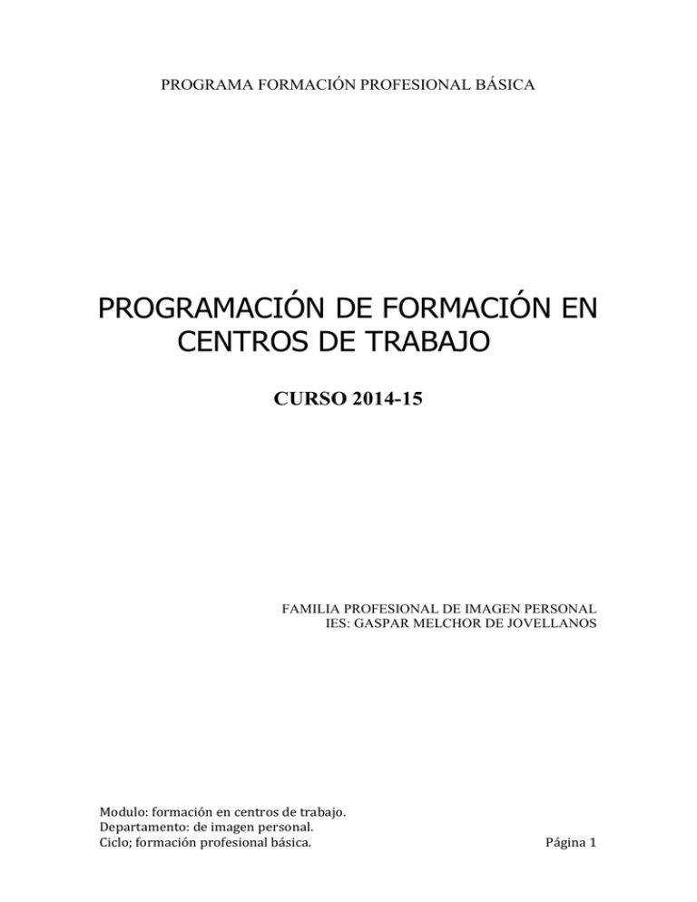 programacion FCT