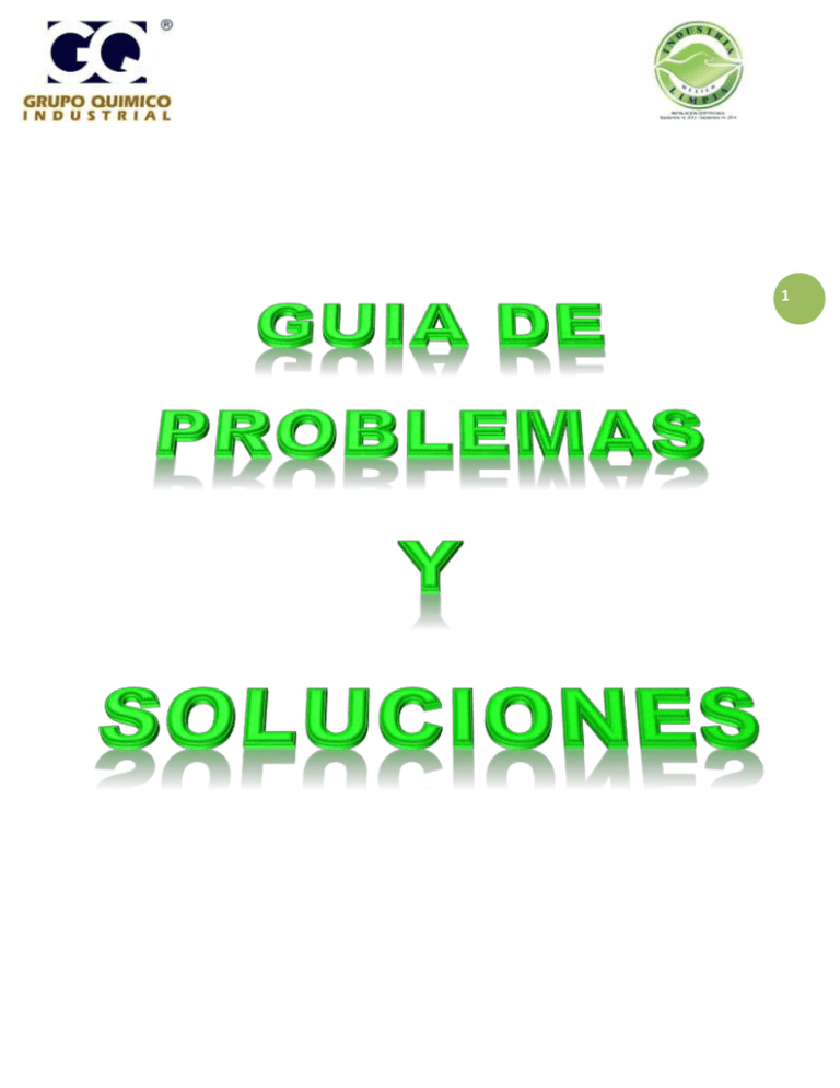 Guia de Problemas y Soluciones - GQIT