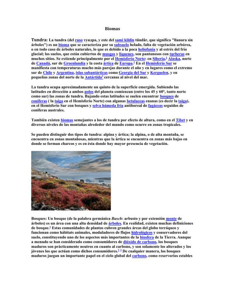 Biomas Tundra: