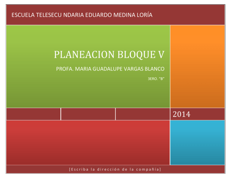 PLANEACION BLOQUE V