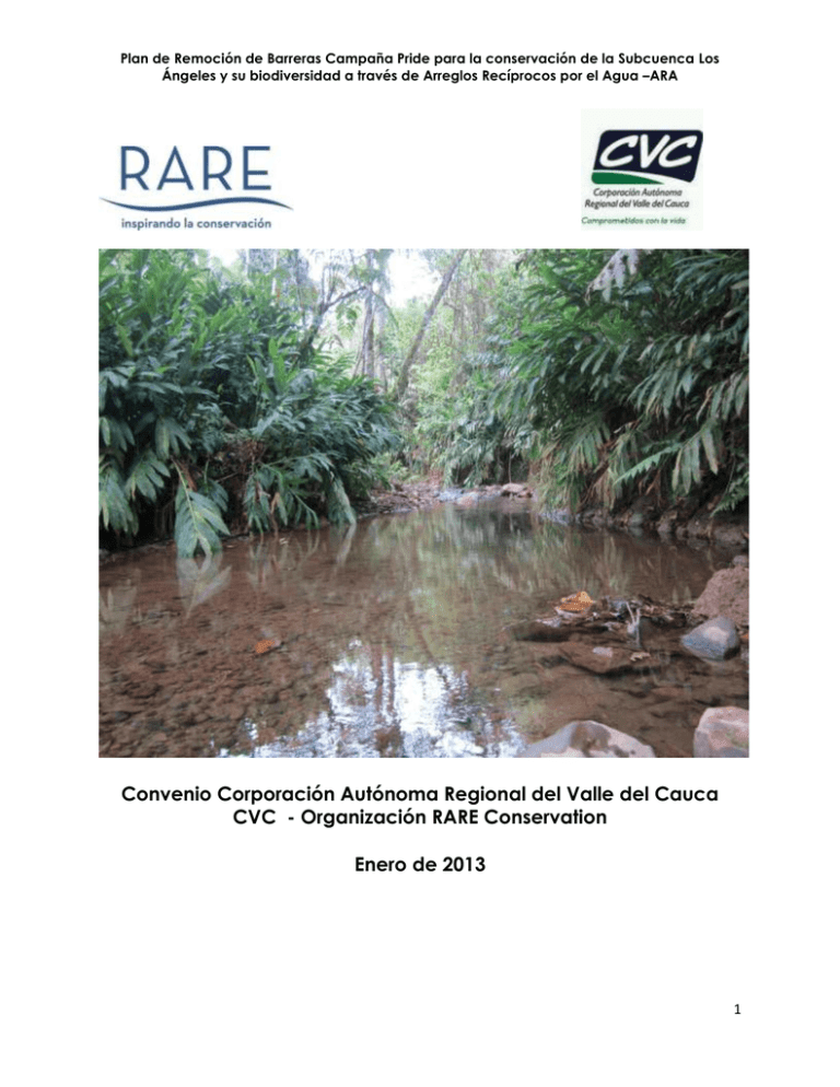 Plan de Remoción de Barreras Campaña Pride para la