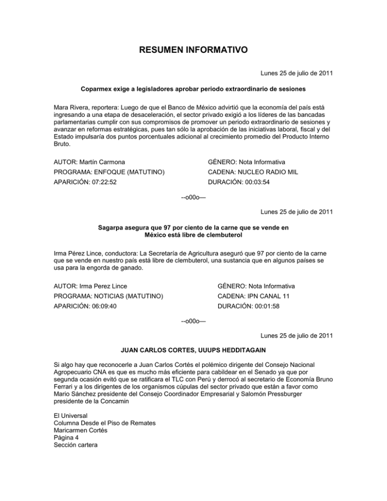 RESUMEN INFORMATIVO