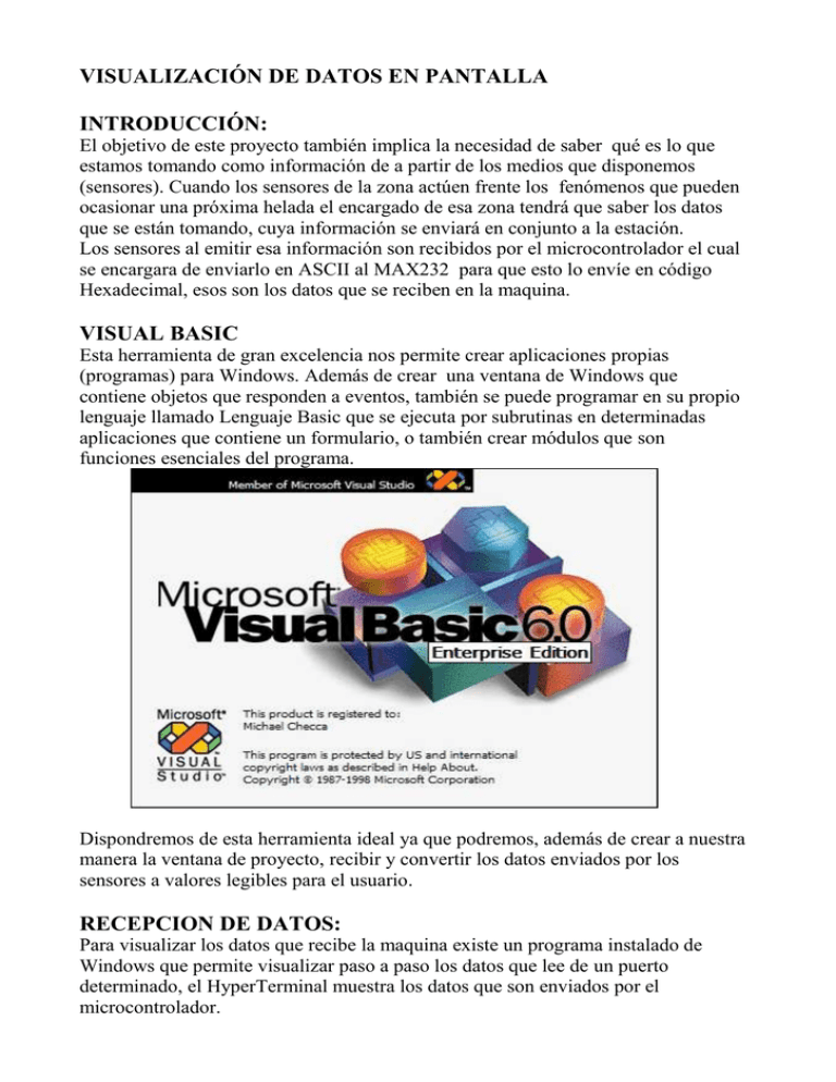 Programa en visual