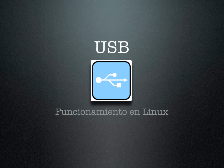 USB Funcionamiento en Linux