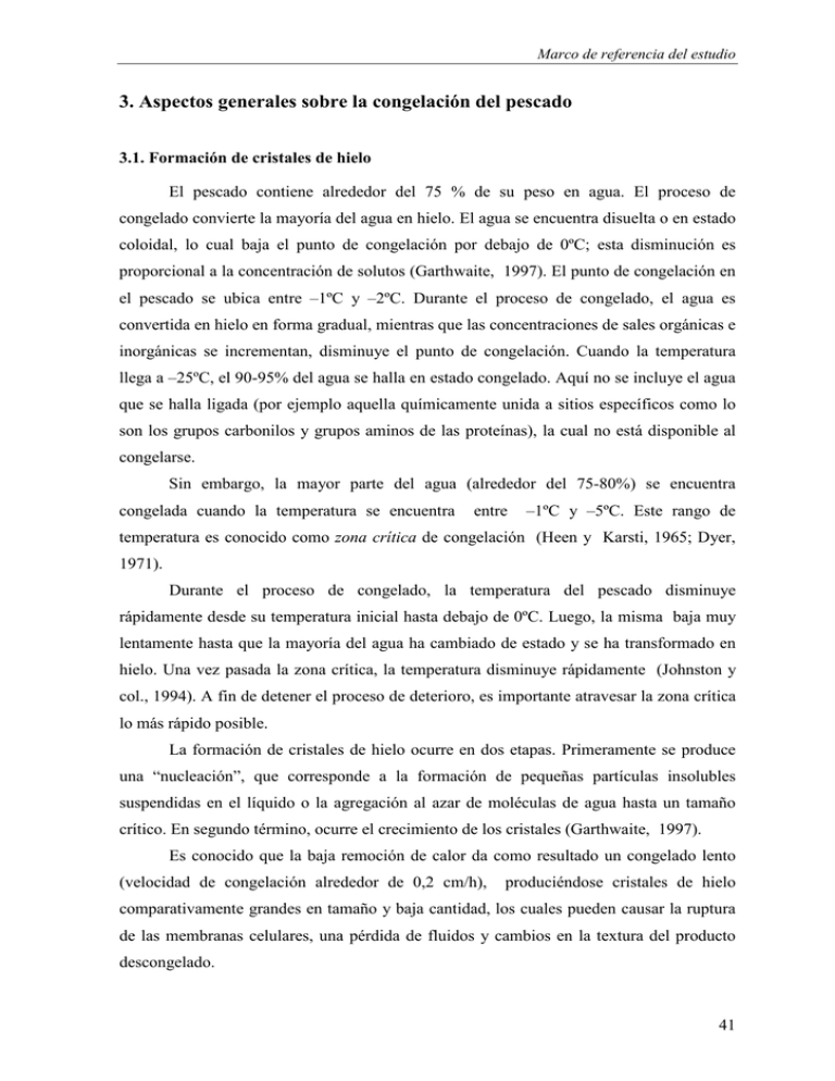 3. Aspectos generales sobre la congelación del pescado