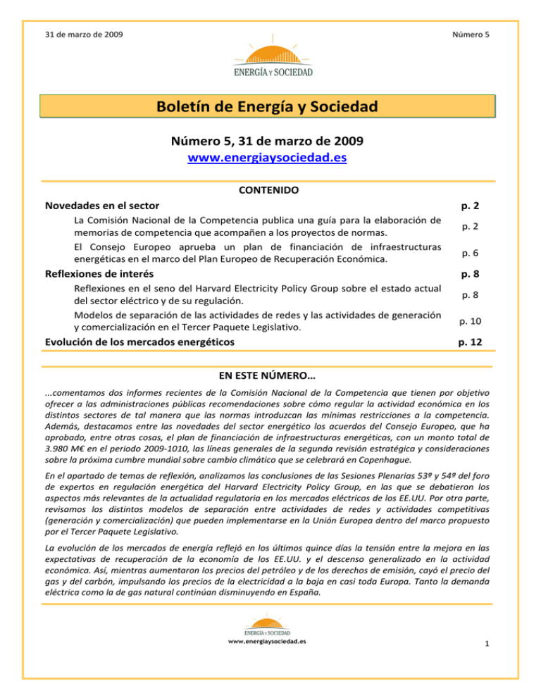 boletin periodico de energia y sociedad numero5 090331
