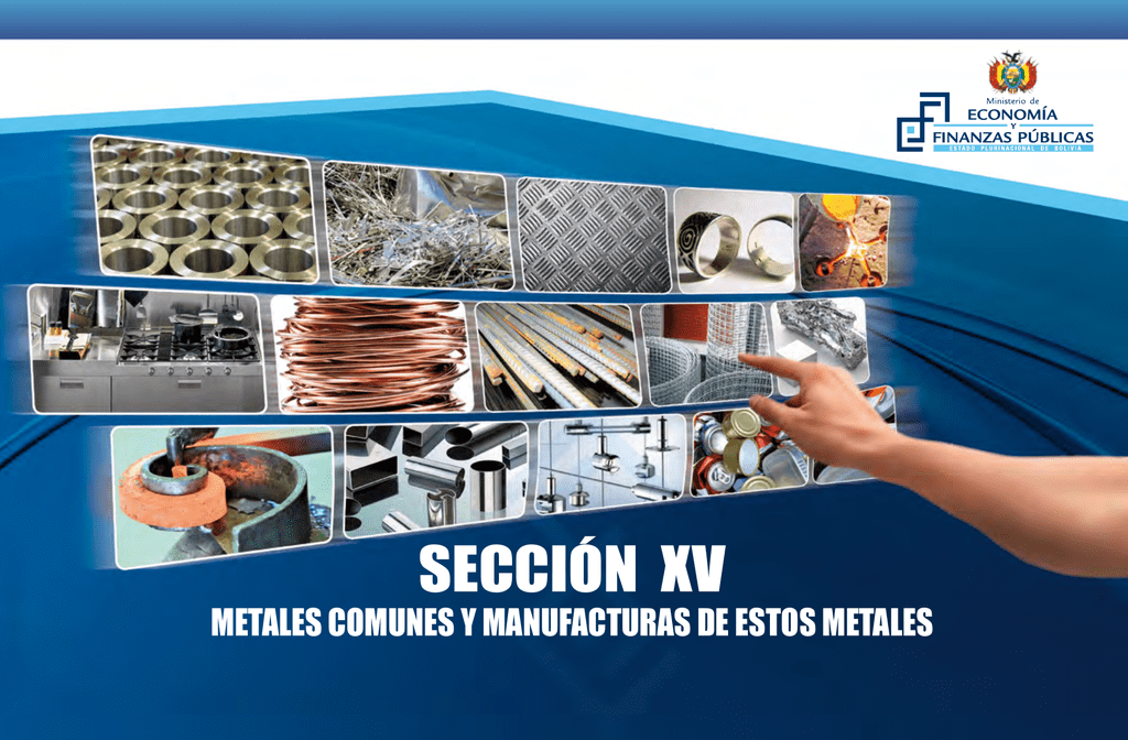 METALES COMUNES Y MANUFACTURAS DE ESTOS METALES