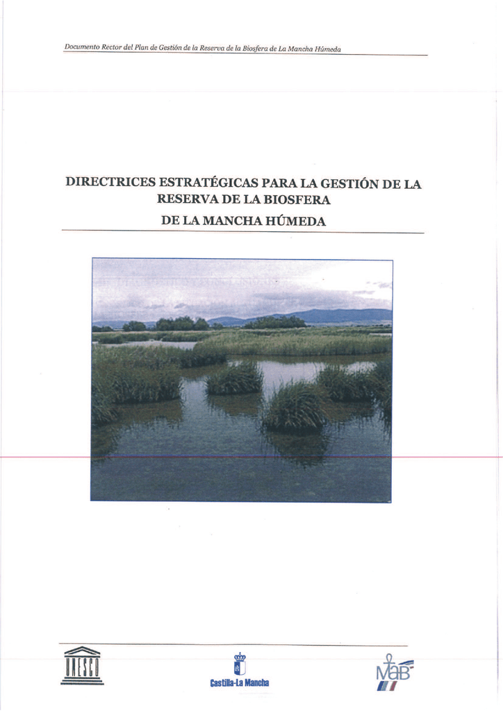 directrices_estrategicas.pdf