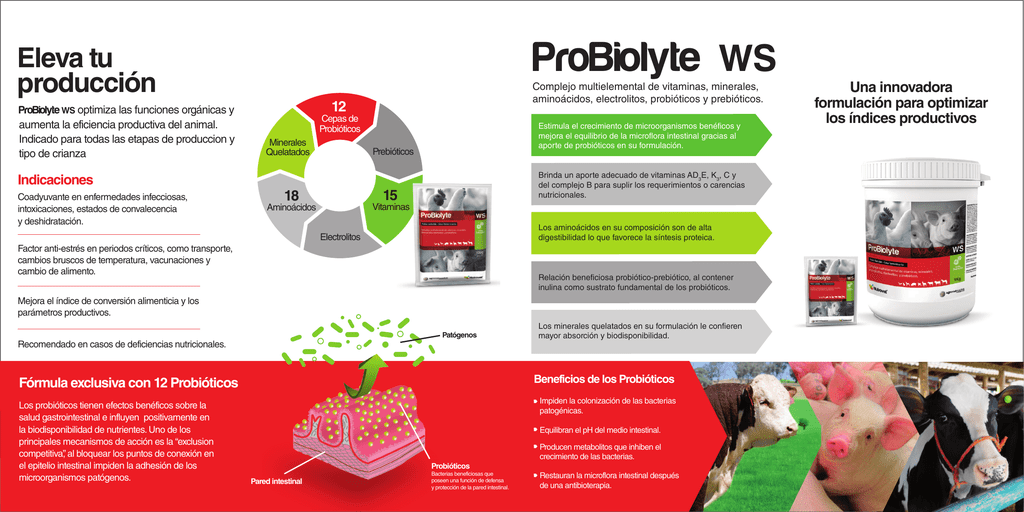 ProBiolyte WS Eleva tu producción
