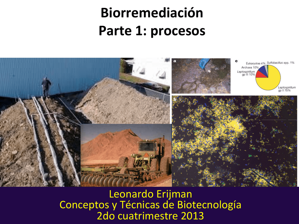 7. Bioremediacio_n_1.pdf