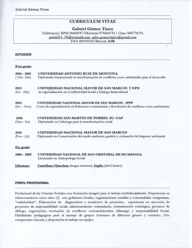 cv-gabriel-gomez-tineo.pdf