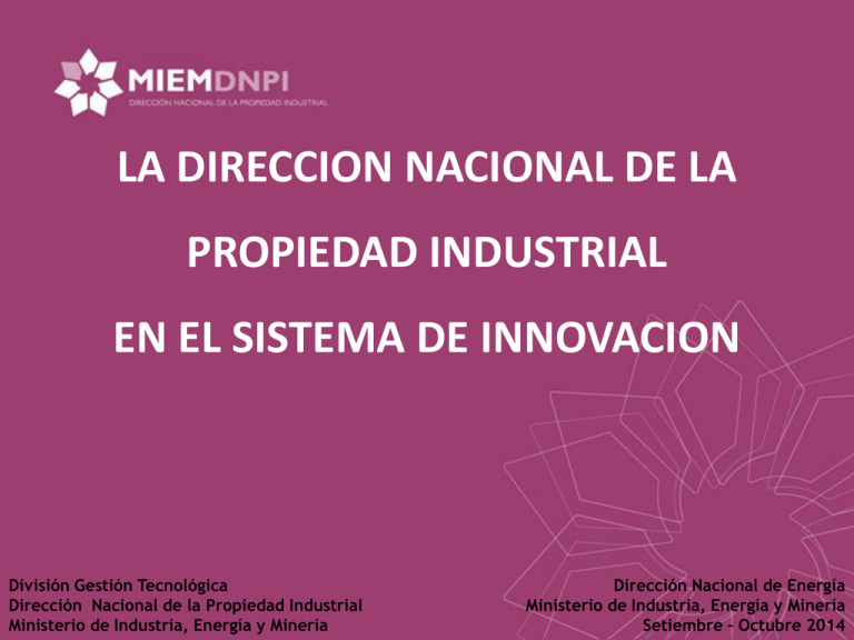 Descargar presentación de DNPI