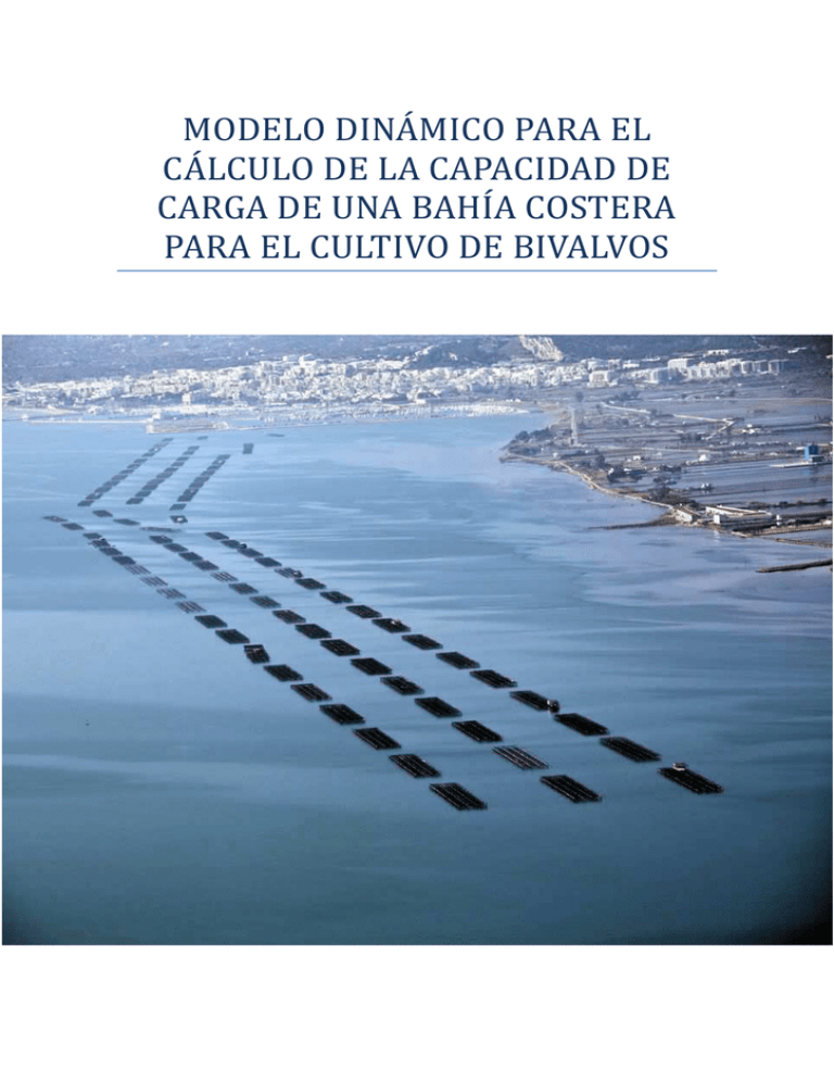 MODELO DINÁMICO PARA EL CÁLCULO DE LA CAPACIDAD DE