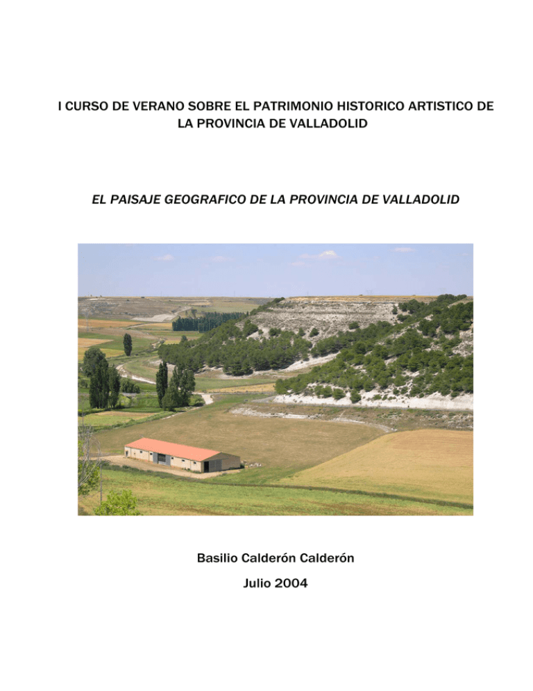 Paisaje geográfico de la provincia de Valladolid.2004.pdf