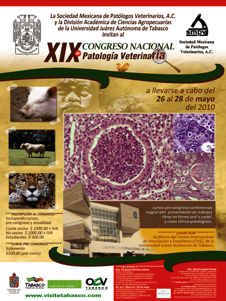 Congreso_patologia.pdf