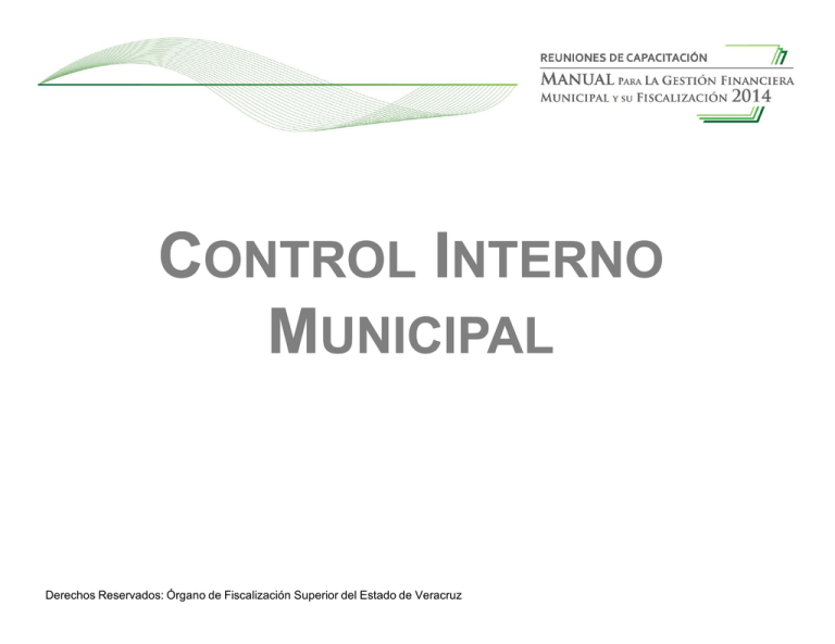 6. Control Interno