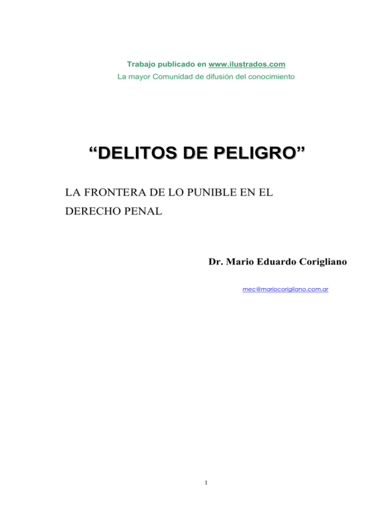 Delitos de peligro - La frontera de lo punible en el Derecho Penal