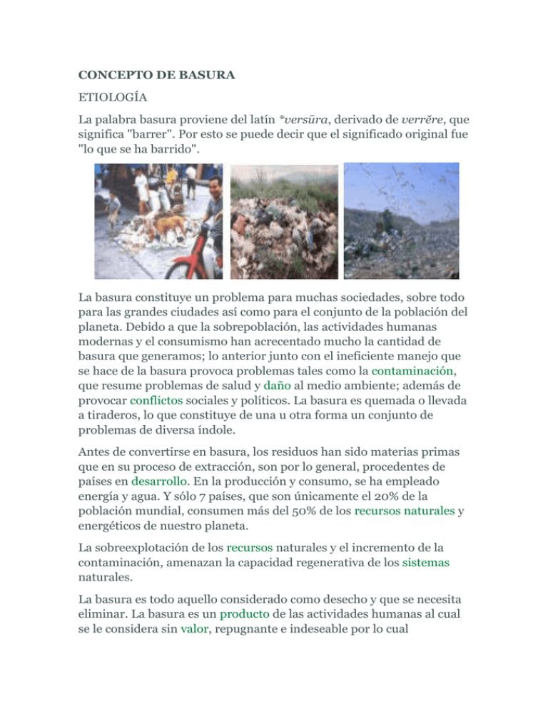 CONCEPTO DE BASURA