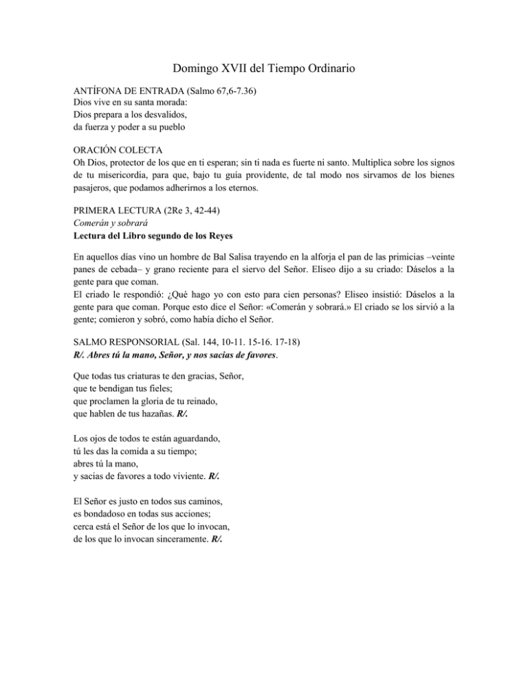 Domingo XVII del Tiempo Ordinario