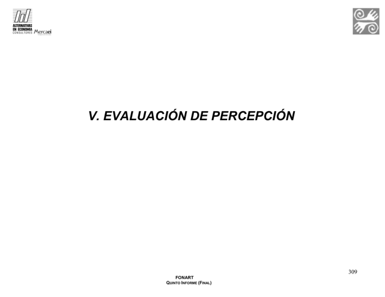 Evaluaci n de Percepci n (cualitativo)