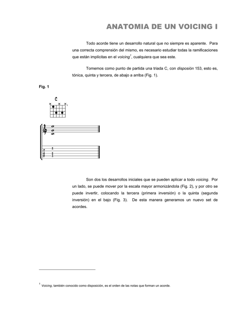anatomia-de-un-voicing1