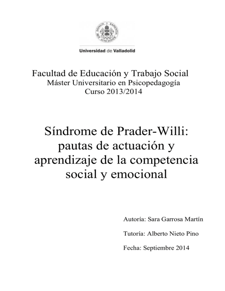 TFM G 325 pdf